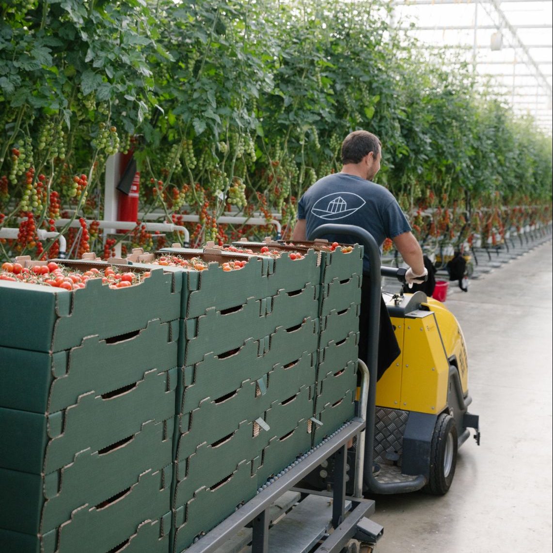 Home - The Green House Growers